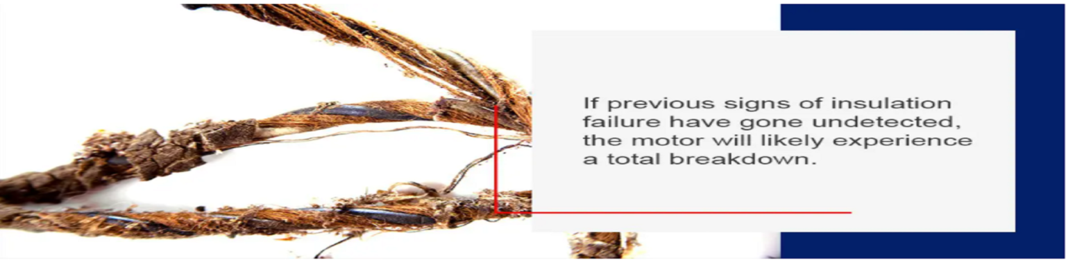 Electrical Insulation Failure - CBM CONNECT®