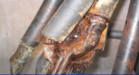 Motor Predictive Maintenance & Diagnostic Guides | CBM Connect